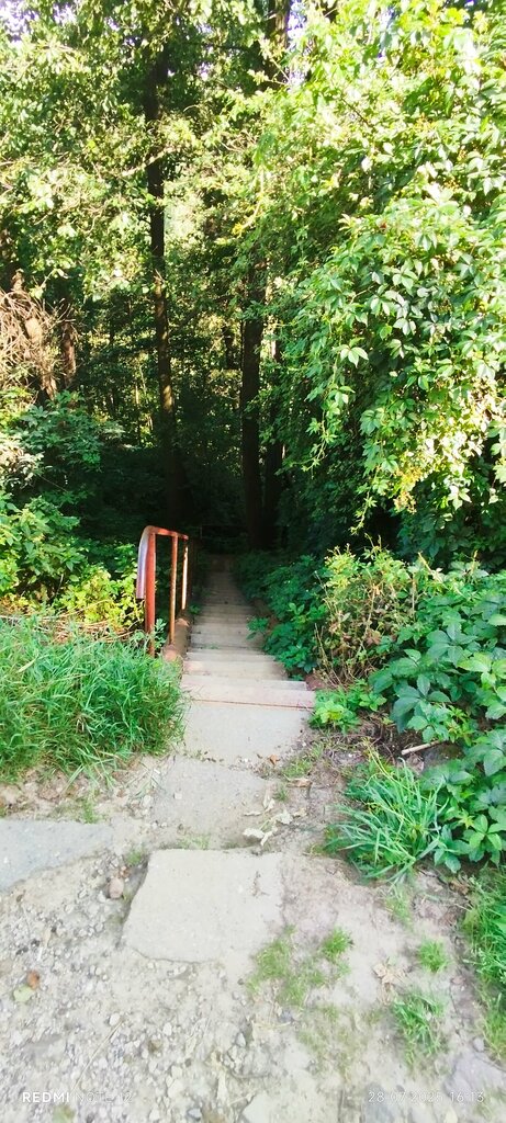 Pınar, çay Spring, stream, Moskova ve Moskovskaya oblastı, foto