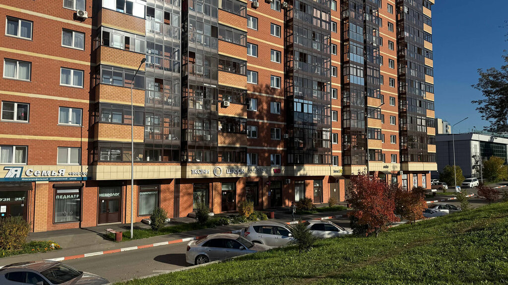 Mefruşat Колибри, Irkutsk, foto