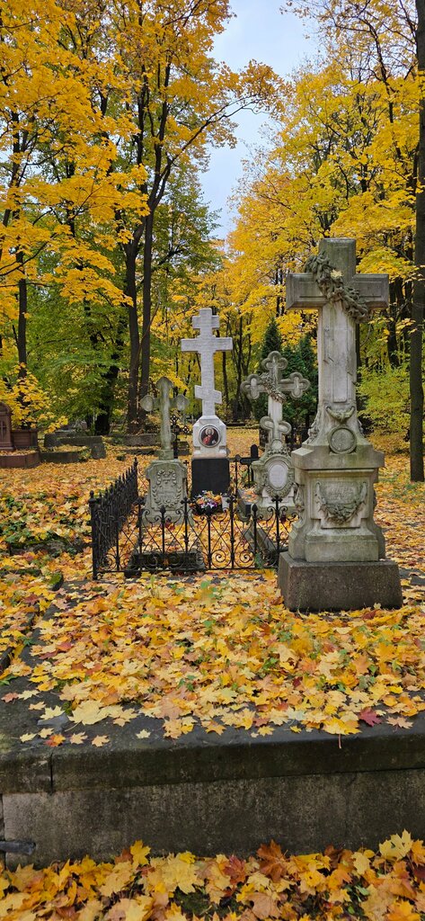 Ünlü kişilerin mezarları Поэт Фёдор Иванович Тютчев, Saint‑Petersburg, foto