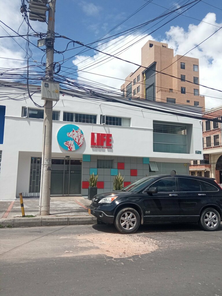 Veteriner klinikleri Life, Bogota, foto