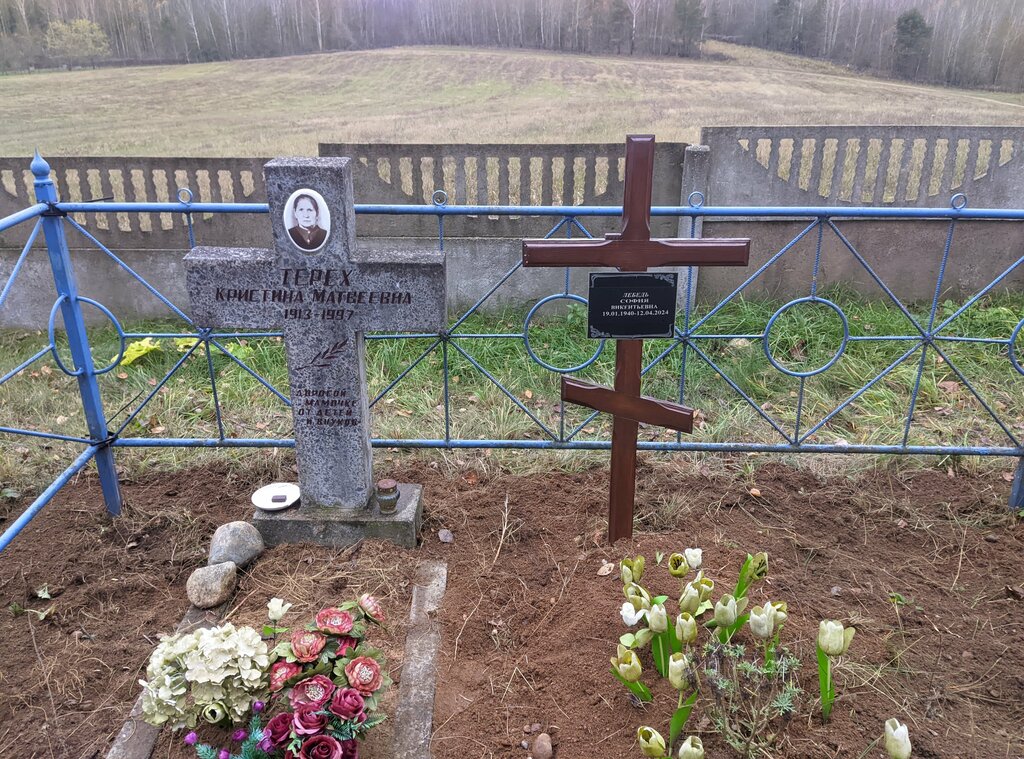 Mezarlıklar Liebiadzinieckija mogilki, Minskaya oblastı, foto