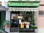 Floristería Concha Candela (Calle Niebla No:50, Sevilla), çiçek teslimatı  Sevilla'dan