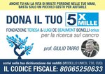 Fondazione Teresa e Luigi De Beaumont Bonelli Onlus per Le Ricerche sul Cancro (Via Posillipo No:286, Naples), sivil toplum kuruluşları  Napoli'den