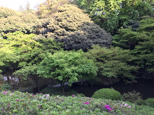 Ikedayama Park (Tokyo Metropolis, Special Ward Shinagawa, Ikedayama Park), kültür ve eğlence parkları  Tokyo'dan