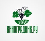 Vinogradnic.ru (ulitsa Laara No:62), tohum üretimi  Krymsk'ten