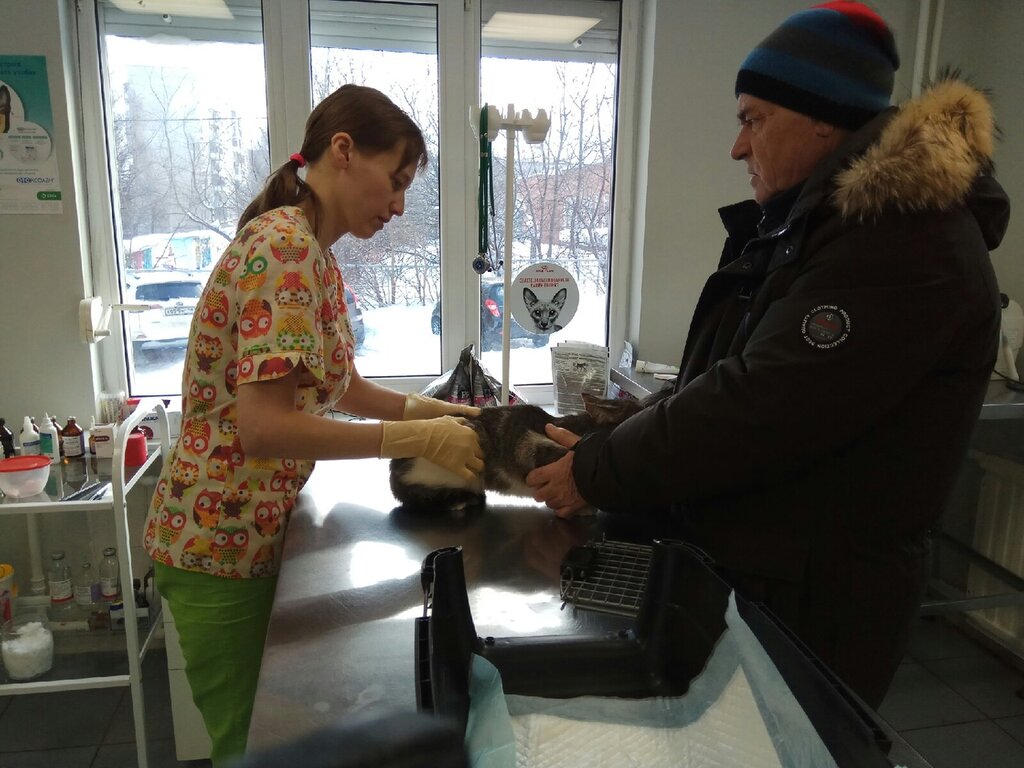 Veteriner klinikleri Ветсервис, Izhevsk, foto