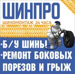 Shinpro24 (Radbuzhskaya ulitsa No:19), oto lastik tamiri  Aleksin'den