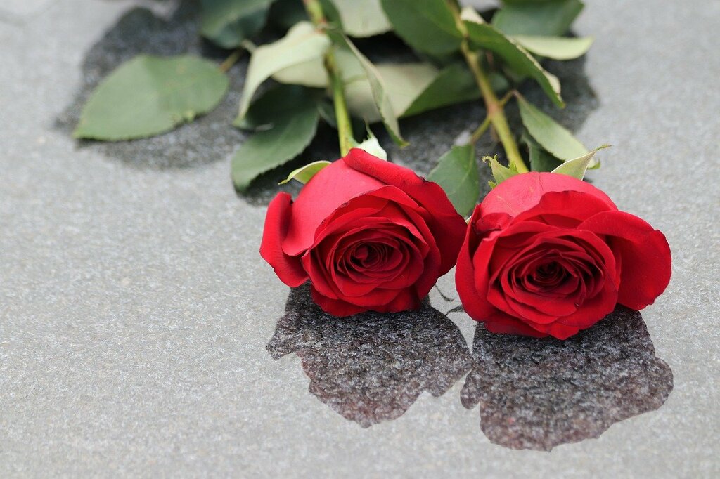 Cenaze hizmetleri Funeral services, Ridder, foto