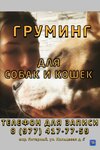 Груминг салон (Koltsevaya ulitsa No:5, Yantarniy Microdistrict), evcil hayvan kuaförleri  Balaşiha'dan