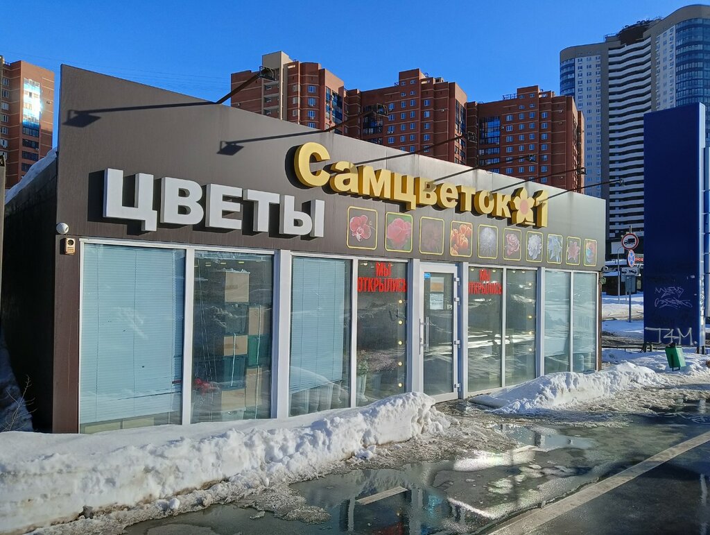 Çiçekçiler Samcvetok № 1, Samara, foto