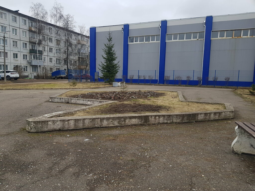 Anıt, heykel Жертвам политических репрессий, Chudovo, foto