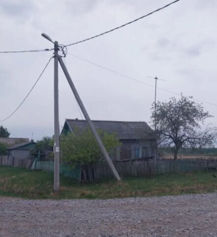 Kafe У Васьки, Tümen (Tiumenskaya) oblastı, foto