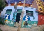 PetLife (Department of La Paz, Provincia Murillo, La Paz, Centro, Calle Haití, 1222), veteriner klinikleri  Bolivya'dan