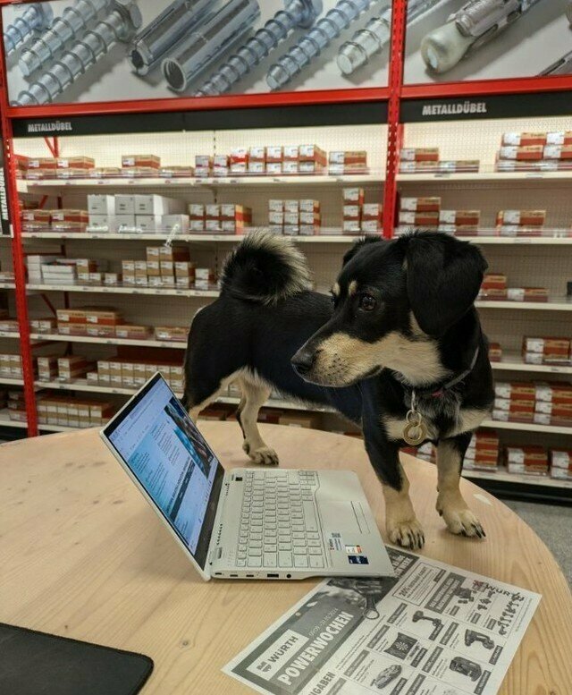 Yönetim ofisi Wurth Gulf FZE, Dubai, foto