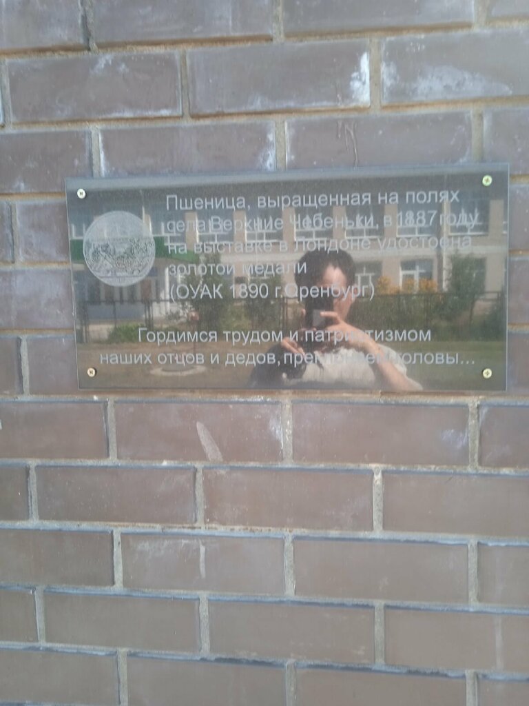 Anıt, heykel Пшеница, удостоенная золотой медали на выставке в Лондоне, Orenburgskaya oblastı, foto