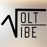 Voltvibe (Flotskaya Street No:17с2), kişisel elektrikli araç tamiri  Moskova'dan