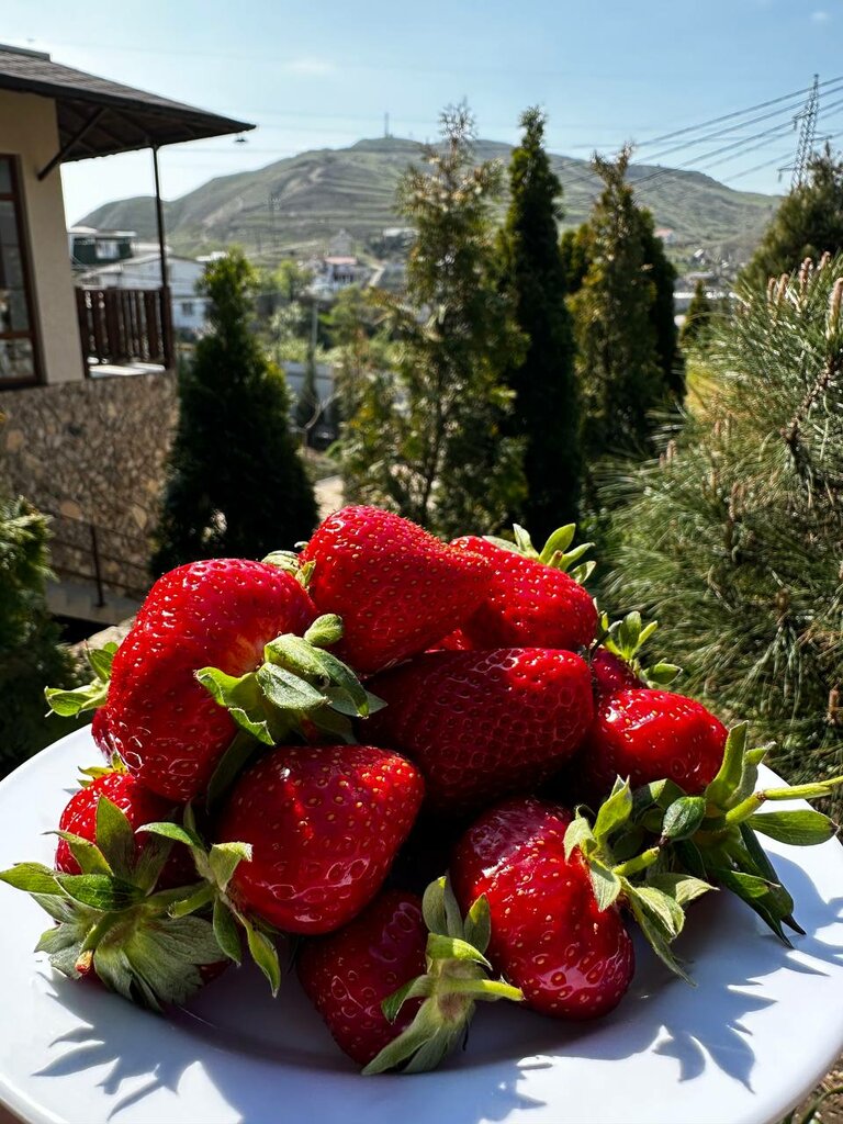 Konuk evi Guest house by the sea, Kırım Cumhuriyeti, foto