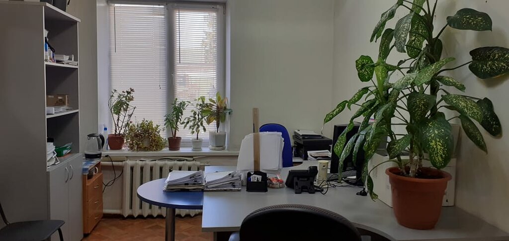 Lisanslı harita kadastro büroları Областной кадастровый центр, Fatej, foto