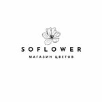 SoFlower (ulitsa Razina No:2к1), çiçekçiler  Balaşiha'dan