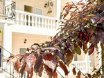 Druzhba (ulitsa Druzhby No:11), otel  Gelencik'ten