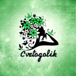 Cvetogolik (Clement Timiryazev Street No:95), çiçekçiler  Almatı'dan