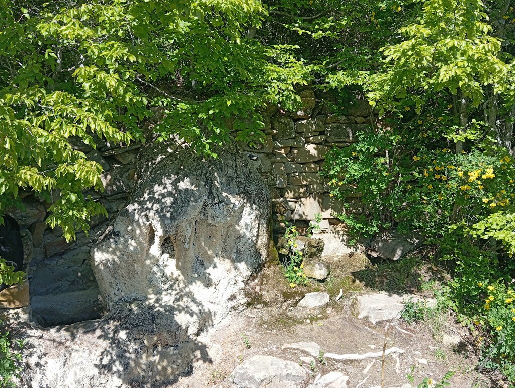 Pınar, çay Родник Анастасиевский-2, Kırım Cumhuriyeti, foto