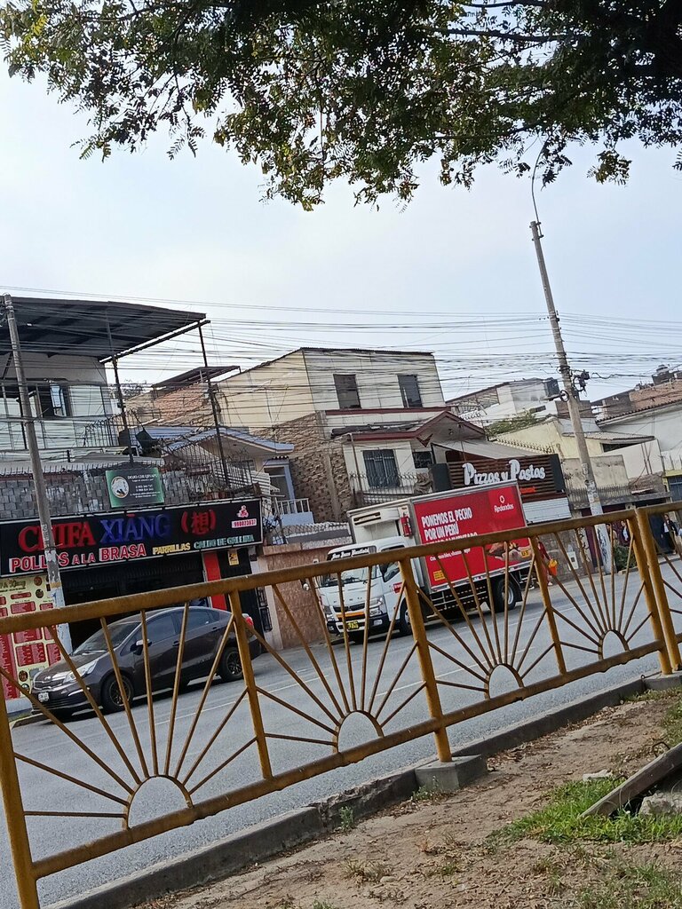 Kanatlı hayvan ürünleri ve yumurta Chifa Xiang, Lima, foto