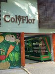 Colyfror (Antioquia, Municipio de Medellín, Laureles Estadio, Calle 48, 65-42), manavlar