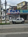Pets and friends (Valle del Cauca, Municipio de Santiago de Cali, Carrera 56, 17A-13), evcil hayvan kuaförleri  Cali'den