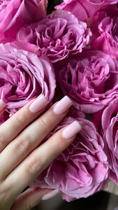 Ash Nails (Verkhne-Kamenskaya Street No:9к1), manikür-pedikür  Saint‑Petersburg'dan