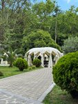 Botanico (Zviad Gamsakhurdia Avenue No:6), kafe