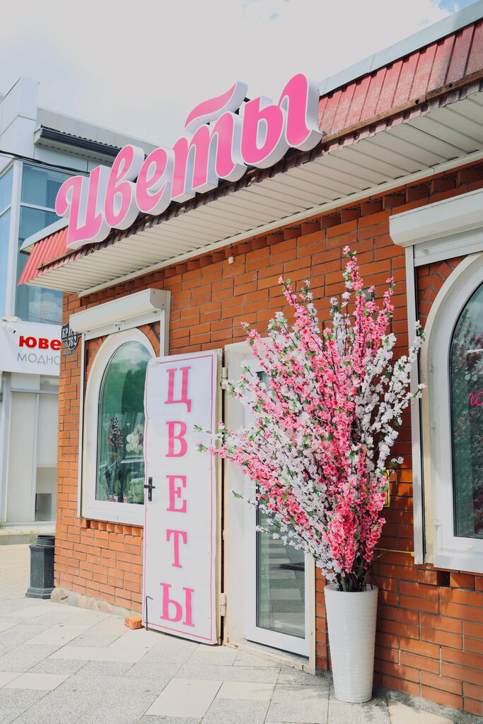 Çiçekçiler Цветы Вместо слов, Krasnodarski krayı, foto