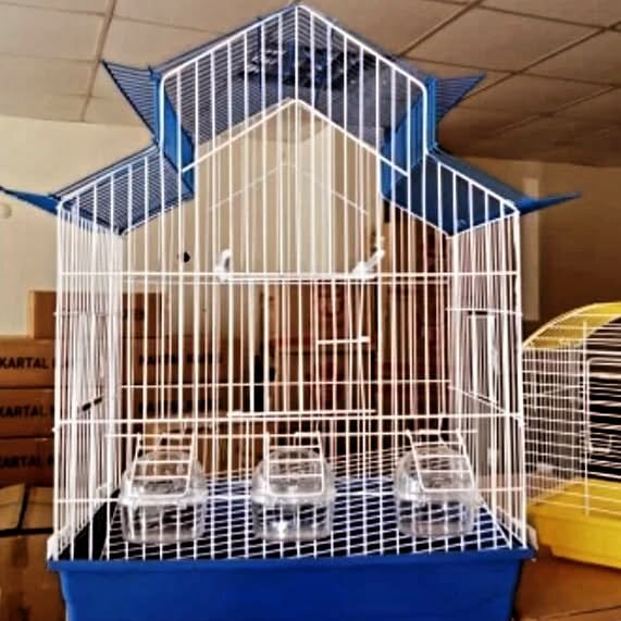 Petshop Sidelya Petshop, Tatvan, foto