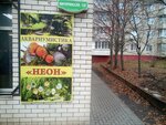 Neon (Michurinskaya Street No:136), akvaryumlar  Tambov'dan