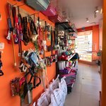 Ergül Pet Shop (Bursa, Nilüfer, Çalı Mah., Bursa Cad., 48GB), petshop  Bursa'dan