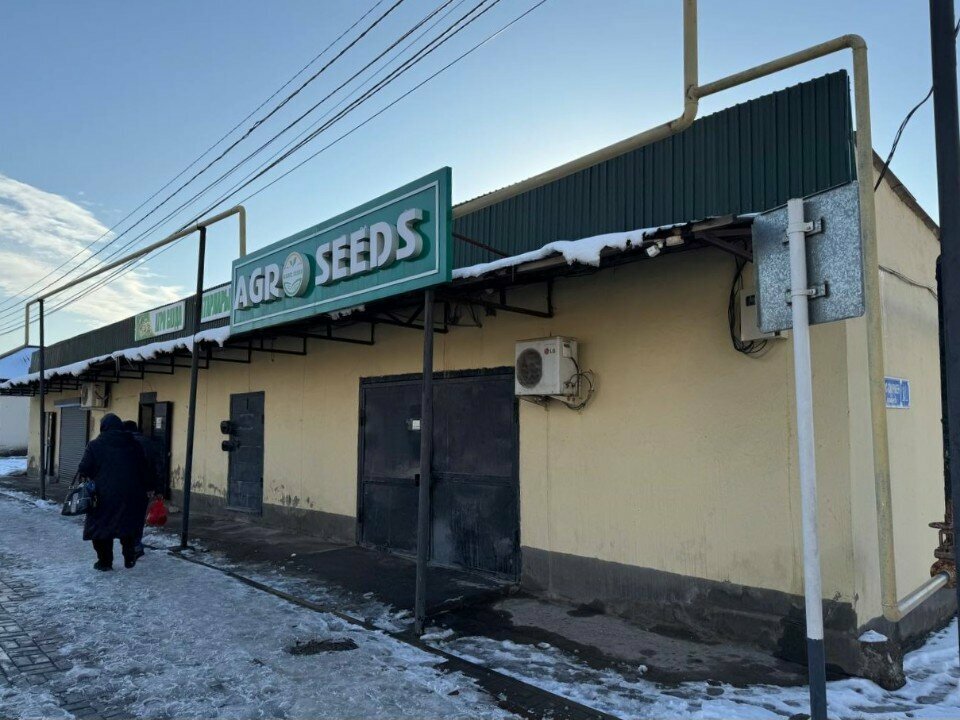 Anaokulları Мерей-ж, Çimkent (Şımkent), foto