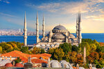 Hive Travel bee Holidays (25, 46B Street, Al Warqa'A 2, Mushraif, Dubai), seyahat acenteleri