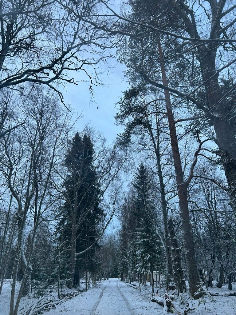 Kültür ve eğlence parkları Парк-усадьба помещика Висленева XIX века, Novgorodskaya oblastı, foto