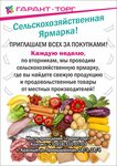 Гарант-Торг (Rostov Region, 60K-77), pazarlar ve çarşılar  Rostovskaya oblastından