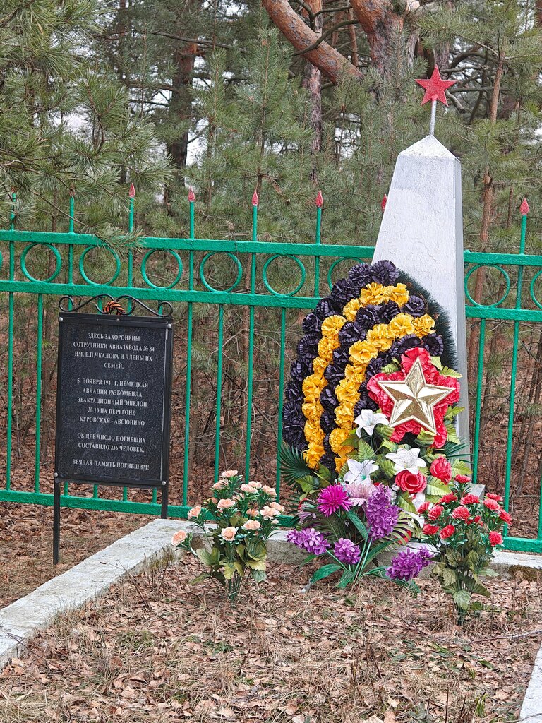 Anıt, heykel Братская могила, Moskova ve Moskovskaya oblastı, foto