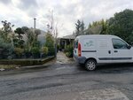 Defne Peyzaj Fidancılık (Uskumruköy Mh., 1. Cd., No: 60/5, Sarıyer, İstanbul), peyzaj tasarımı  İstanbul'dan