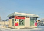 Ремонт и продажа телефонов (Oktyabrskaya ulitsa No:11А, rabochiy posyolok Gorshechnoye), telefon tamir servisi  Kurskaya oblastından