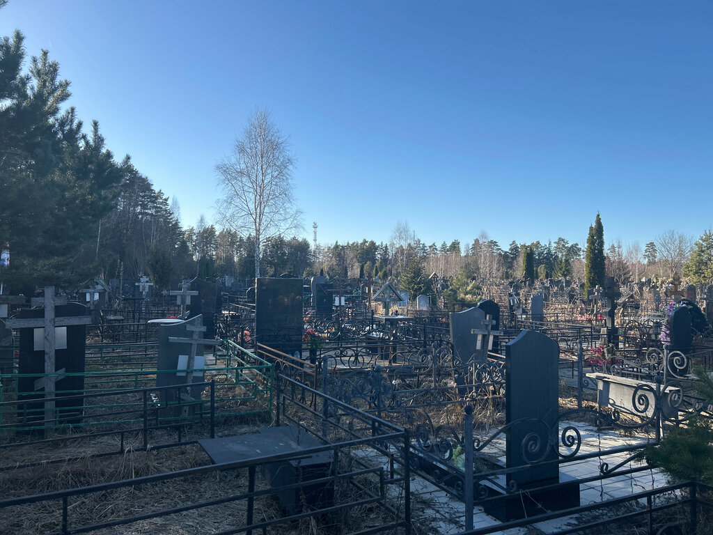 Mezarlıklar кладбище Передоль, Kalujskaya oblastı, foto