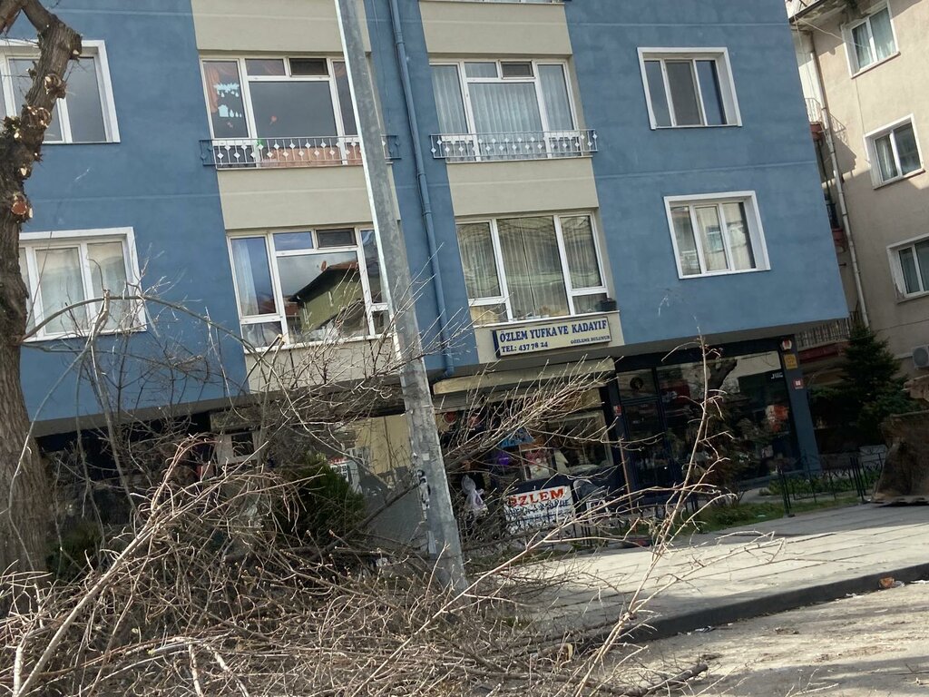 Danışmanlık hizmetleri Özlem Yufka Kadayıf, Ankara, foto