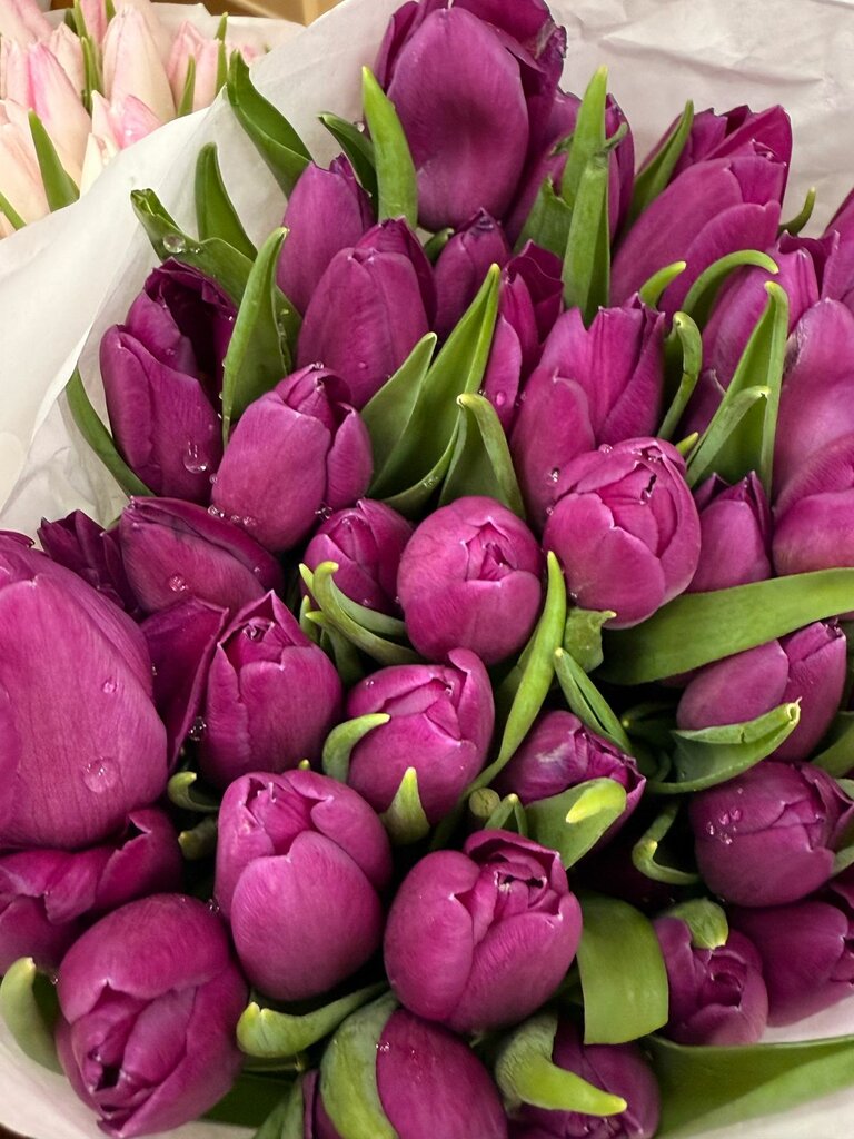 Çiçekçiler Цветник, Moskova, foto