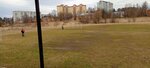 Футбольное поле Стандарт (Moscow Region, Solnechnogorsk Urban District, territorialnoye upravleniye Rzhavki-Mendeleyevo), spor alanı  Moskova ve Moskovskaya oblastından