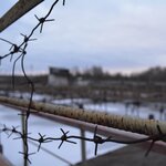 Рыбное хозяйство (Smolensk Region, munitsipalnoye obrazovaniye Desnogorsk), balık çiftçiliği ve toptancıları  Smolenskaya oblastından