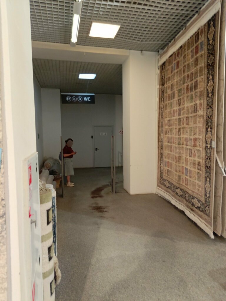 Engelliler için tuvalet Accessible toilet, Moskova ve Moskovskaya oblastı, foto