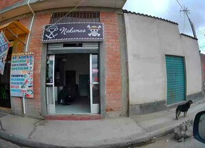 Nakamas (Department of La Paz, Provincia Murillo, El Alto, Mercedes U.V. F), berberler  El Alto'dan