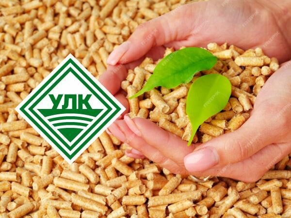Kereste üretim ve satış şirketleri Ustyanskaya lesopererabatyvayushchaya kompaniya, Arhangelskaya oblastı, foto